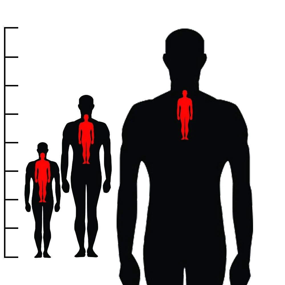 3 meter titans | Fandom