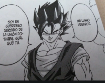 Vegetto o Vegerot??? | Fandom