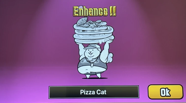 Pizza Cat | Fandom