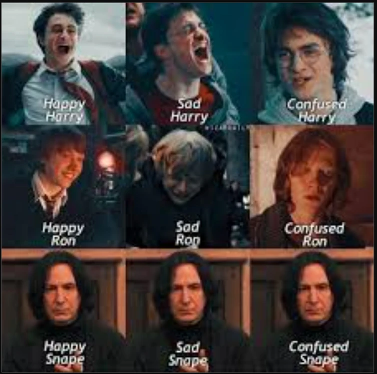 🤣 [Meme of the Week Contest] Round 2 Winners | Fandom