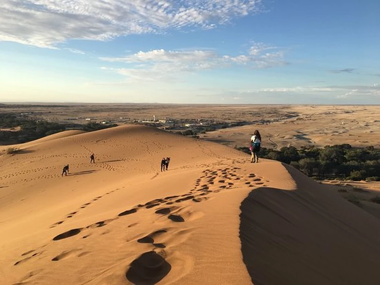 Discuss Everything About Dune Wiki | Fandom