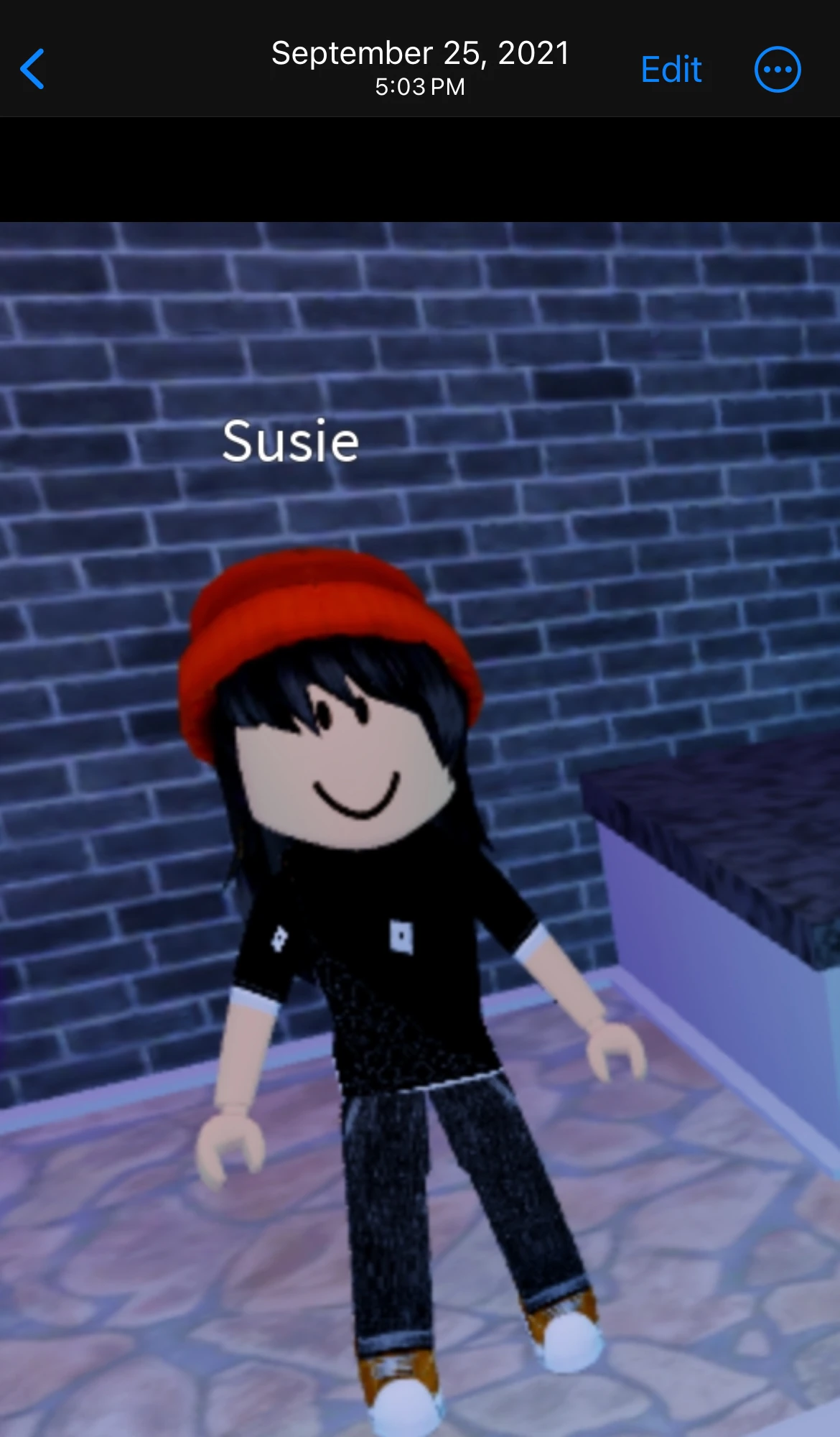 WHO IS SUSIE | Fandom