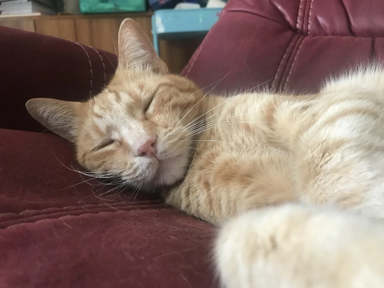 happy birthday to meeee | Fandom