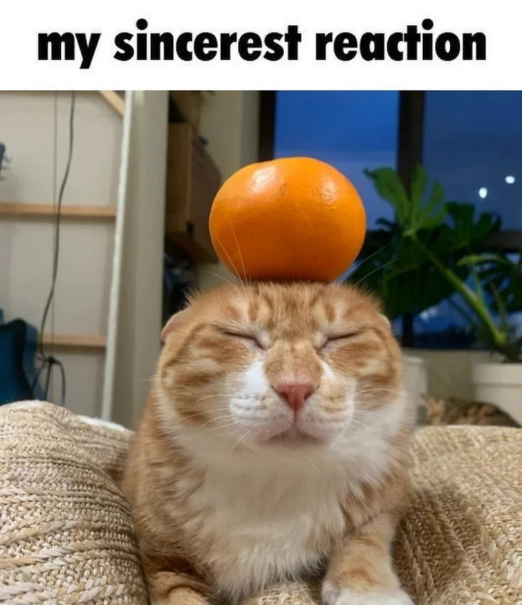 Octonozzle appreciation doodle | Fandom