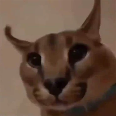 Best Floppa Image? | Fandom