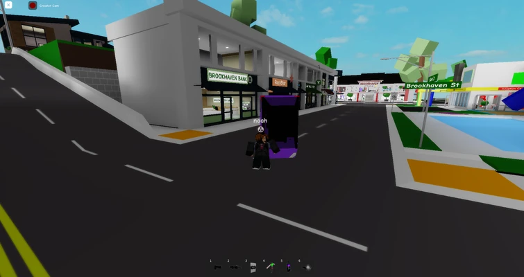 Discuss Everything About Official Brookhaven Wiki | Fandom