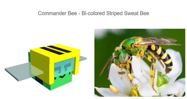 BSS Bees and their irl counterparts! Epics :) | Fandom
