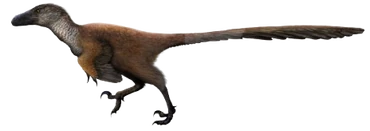 Discuss Everything About Dinopedia | Fandom