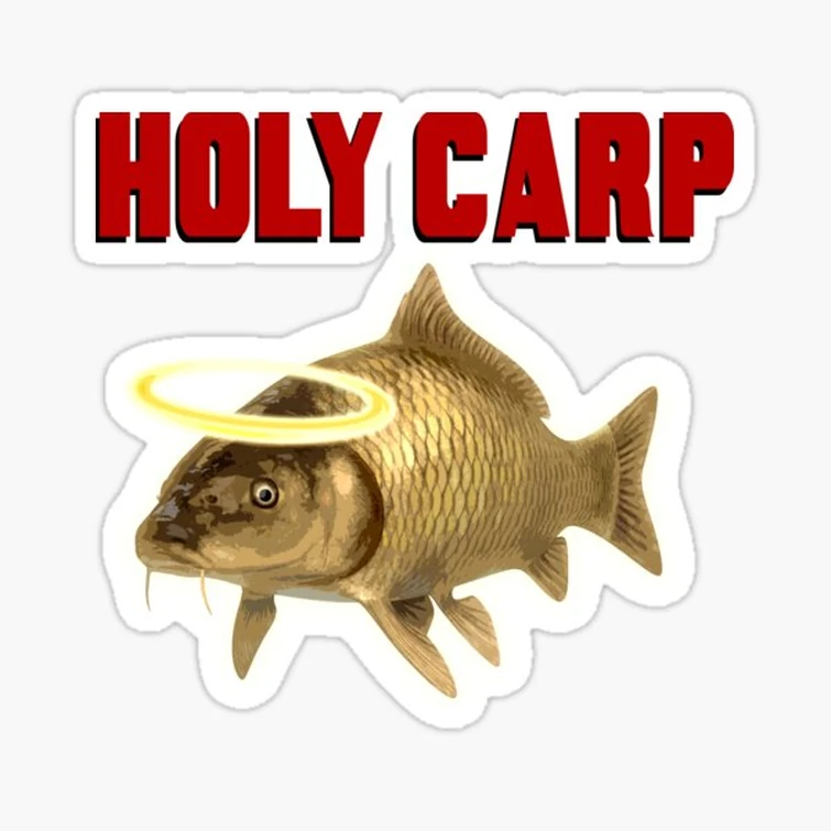 holy carp guys new music taste | Fandom