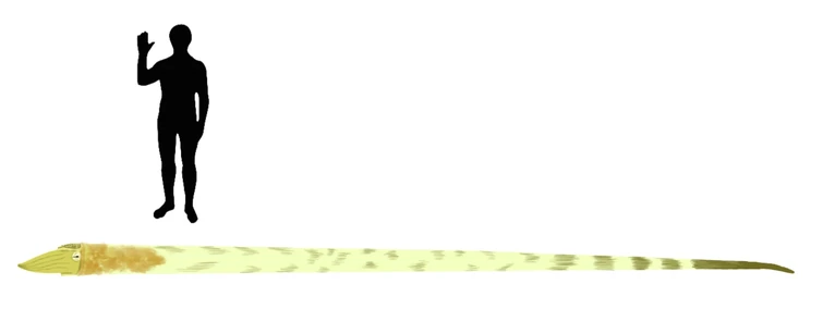 Discuss Everything About Dinopedia | Fandom