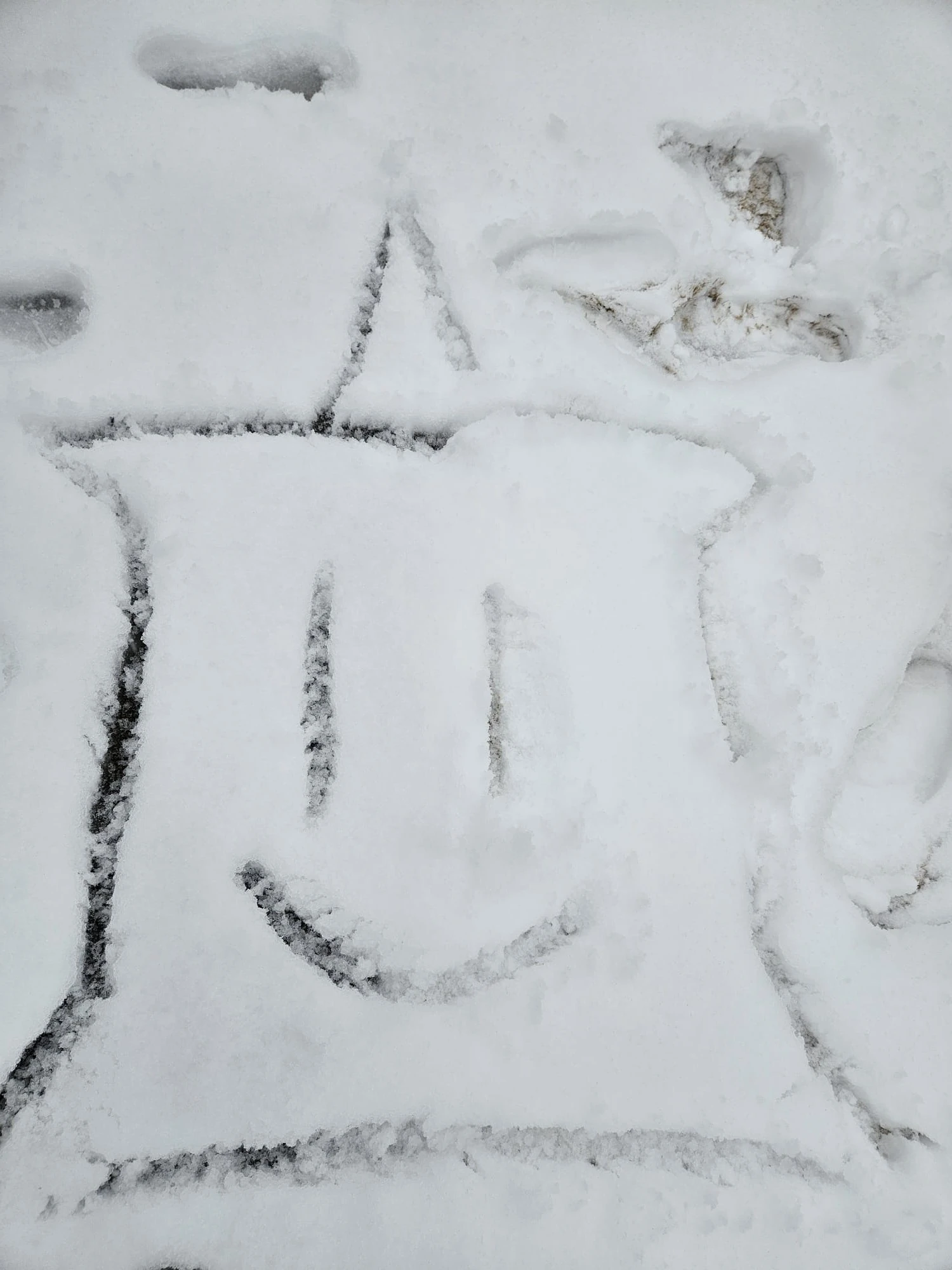 crappy bfdi drawings I made in the snow | Fandom