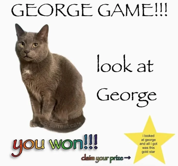 george | Fandom