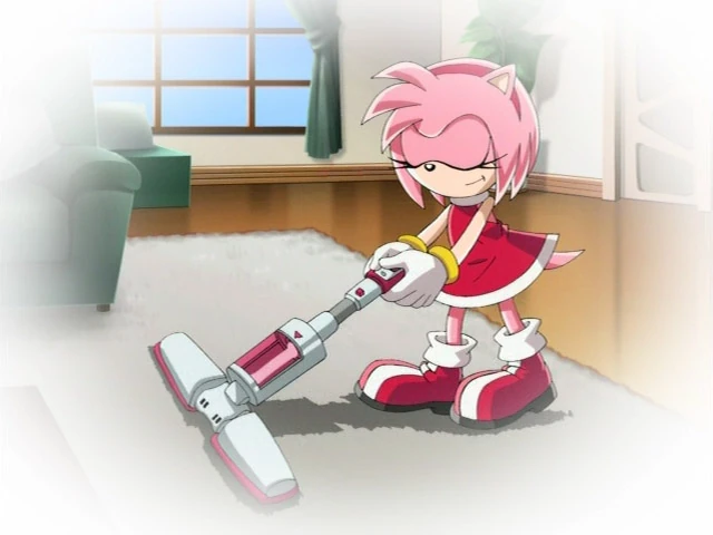 what is Amy Rose doing? [wrong answers only] | Fandom