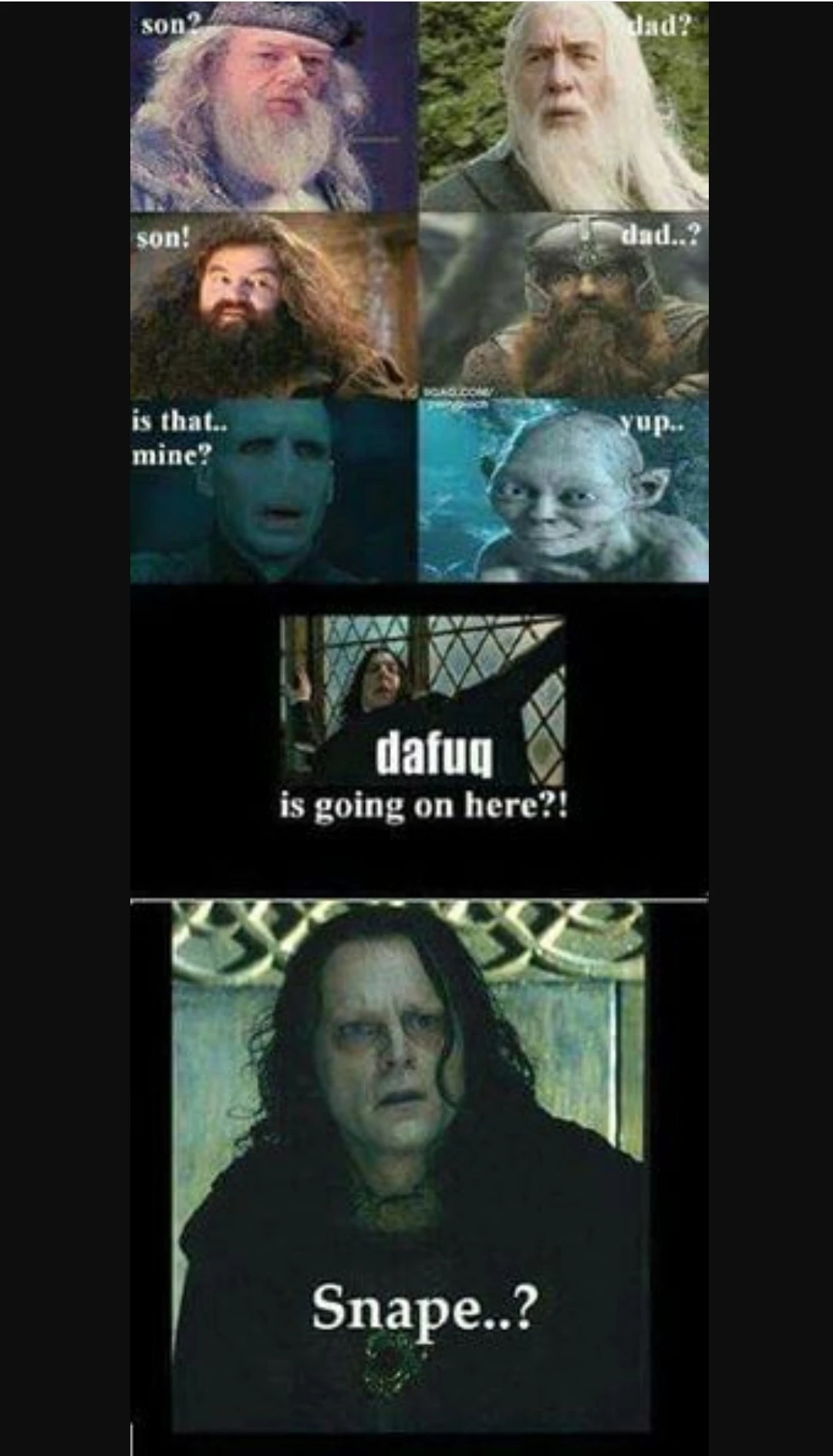 A couple more HP memes...😂 | Fandom