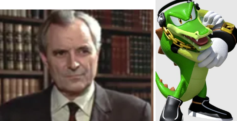 Discuss Everything About Sonic Wiki Zone | Fandom