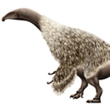 Discuss Everything About Dinopedia | Fandom