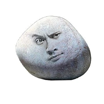 The rock | Fandom