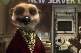 go to comparethemeerkat.com for free robux | Fandom