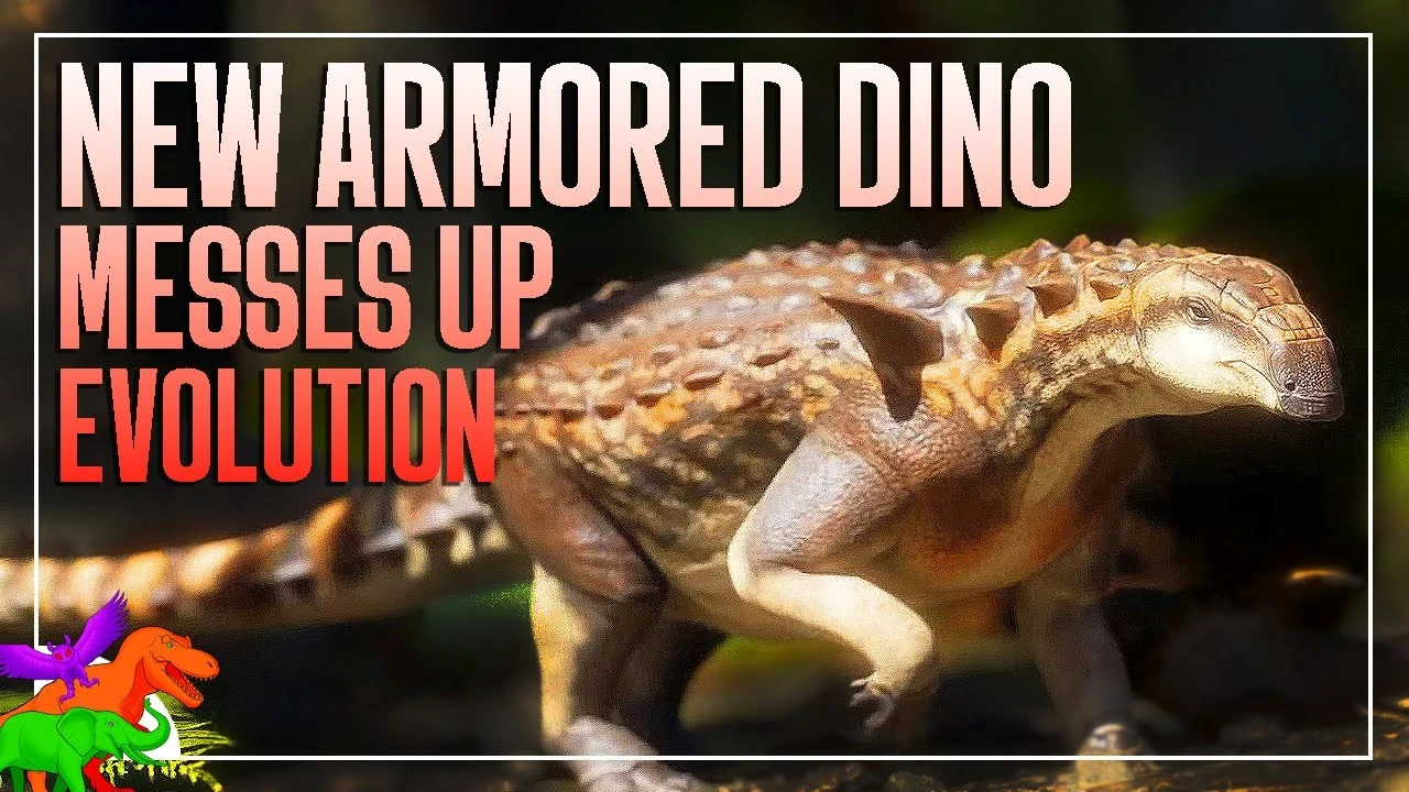 New important video by E.D.G.E. | Fandom