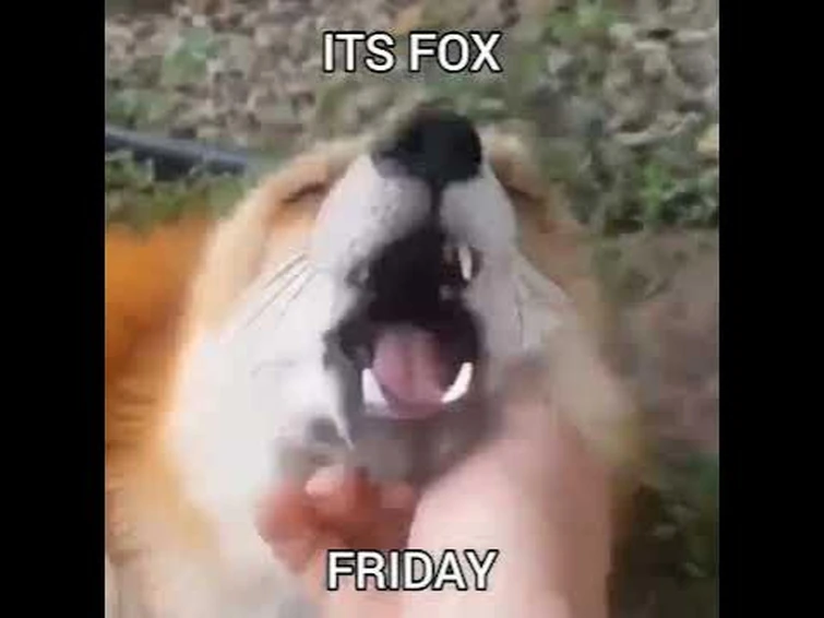 Oh, I nearly forgot! | Fandom