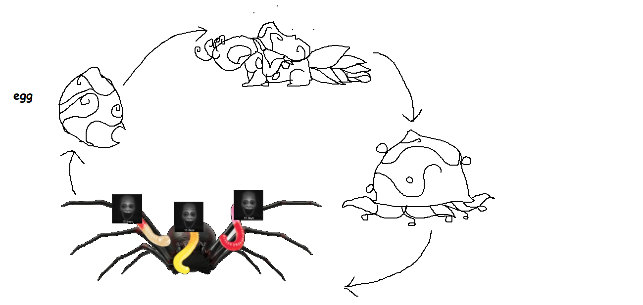 rorolo life cycle | Fandom