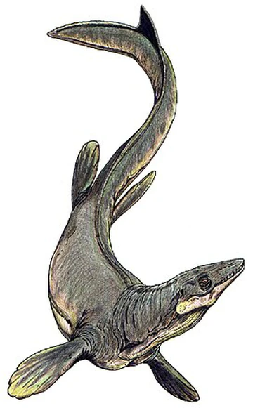 Discuss Everything About Dinopedia | Fandom