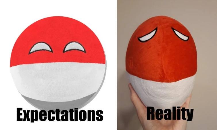 Today is the 2 year anniversary of the Polandball Wiki thing | Fandom