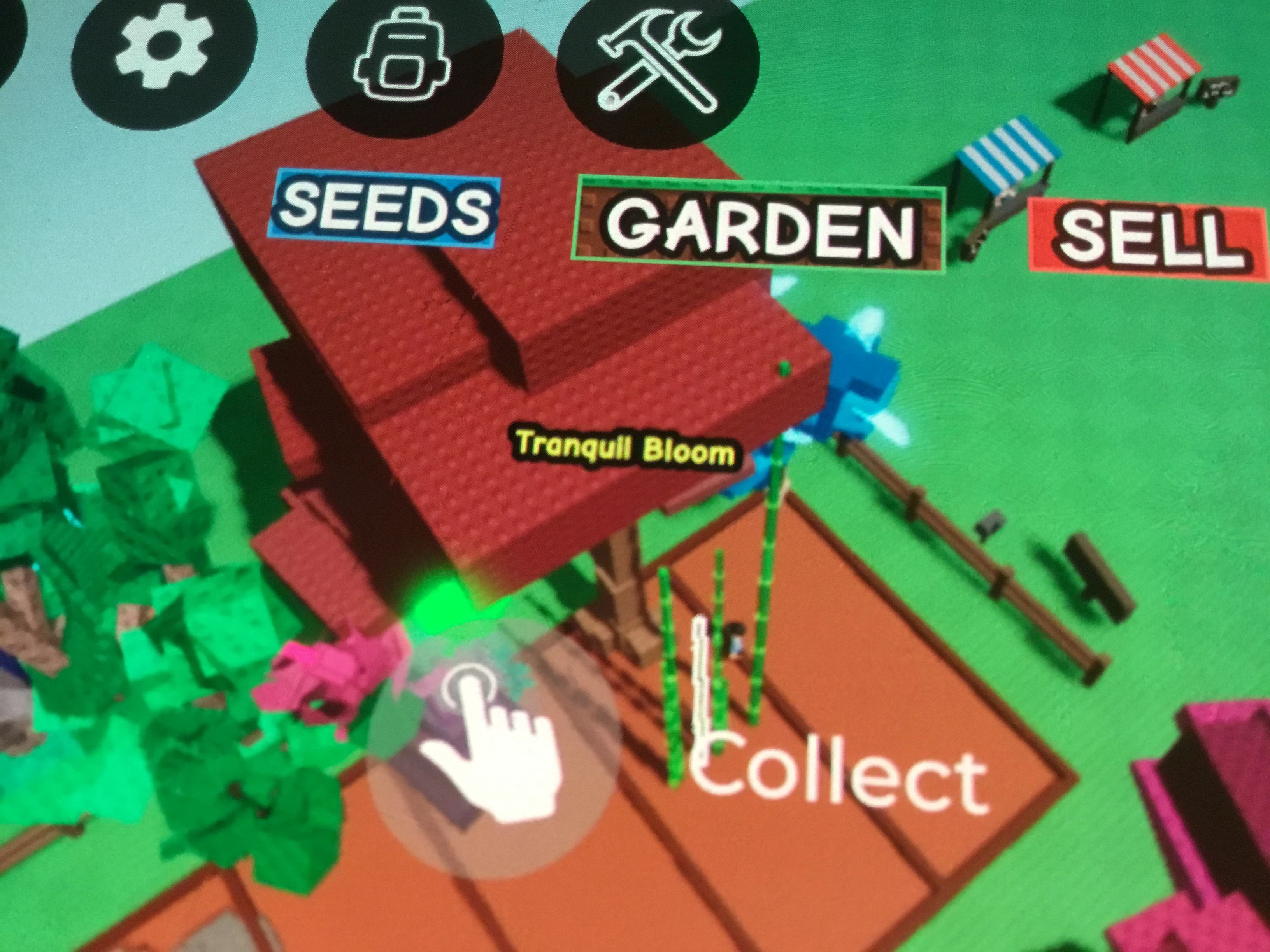 My Tranquil Bloom Isn’t Growing Flowers? | Fandom