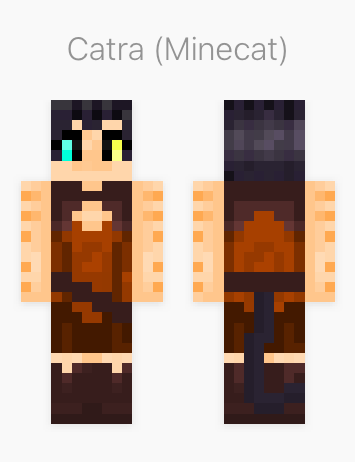 Minecat | Fandom