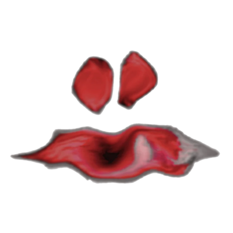 A-60 4th Face Remake | Fandom