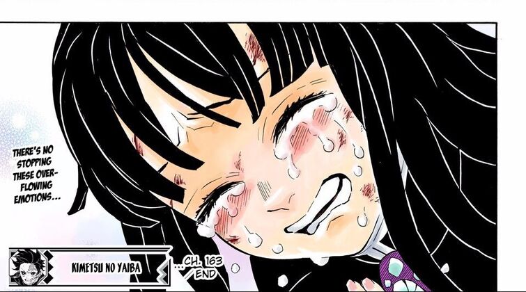 take this crying hashira pic | Fandom