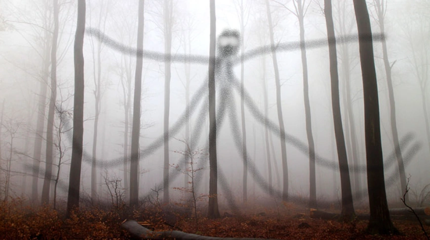 can you imagine this looking at you | Fandom