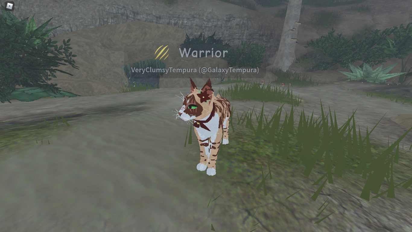 Morph showcase! and overly simplified descriptions of their ...