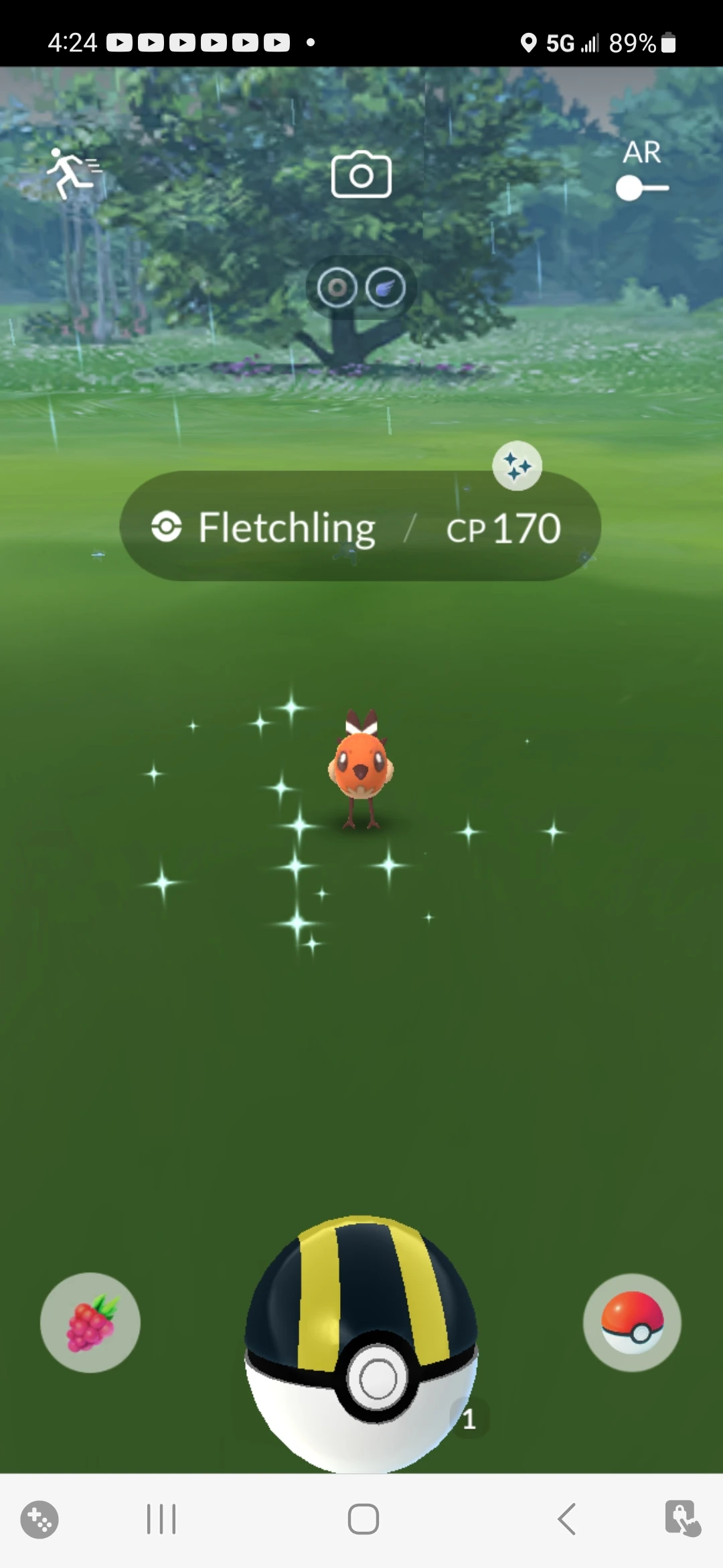 Three shinies today! | Fandom