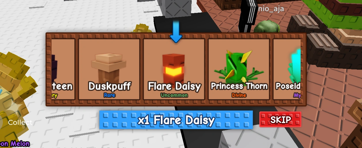 i loveeeeeeeeeeeee flare daisy | Fandom