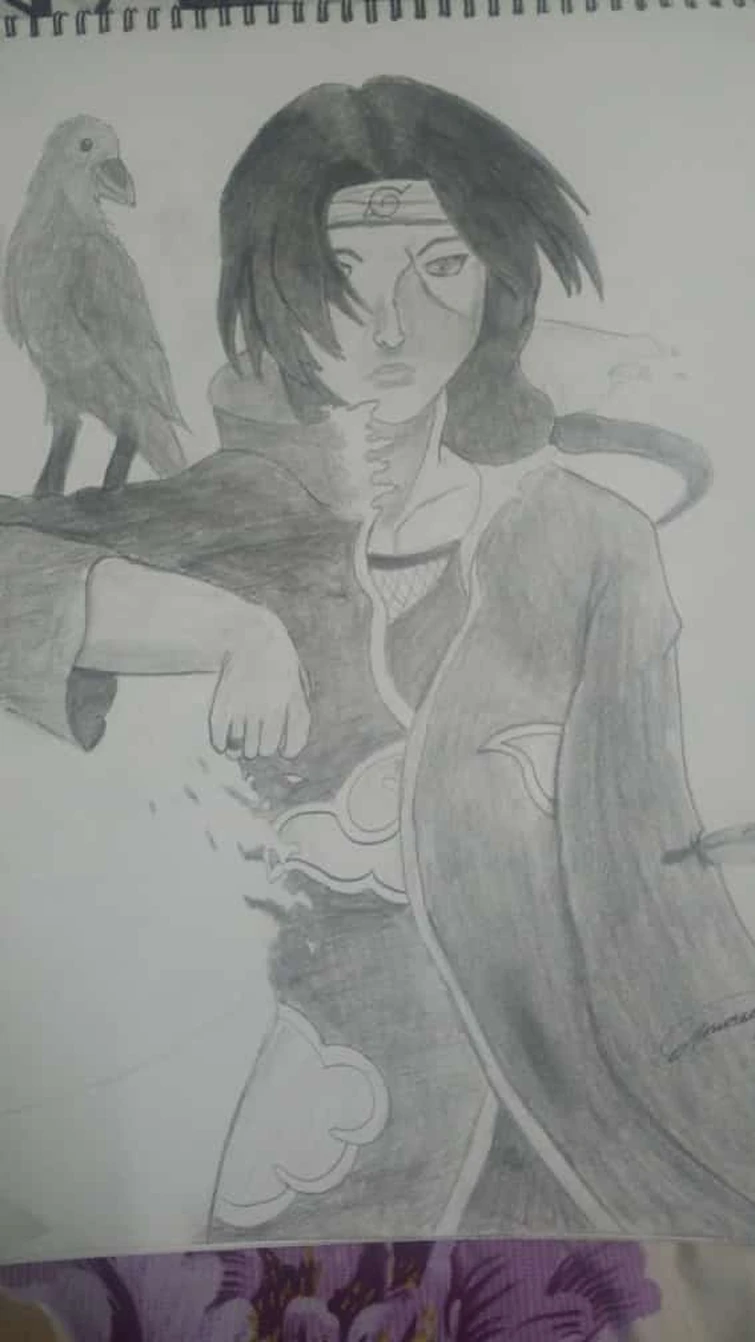 Manda old redesign Fanart | Fandom