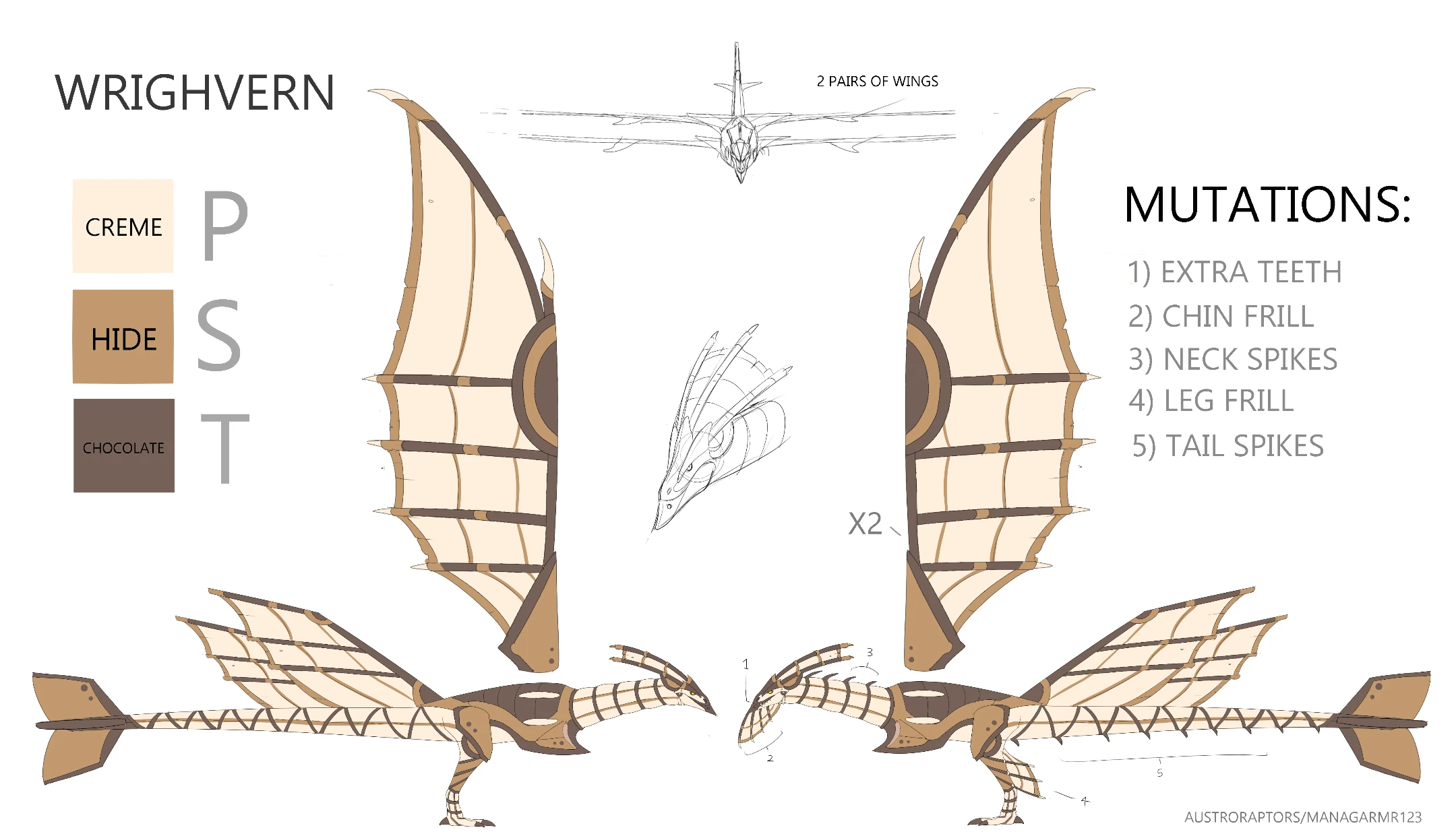 I just saw this plane dragon concept on discord | Fandom