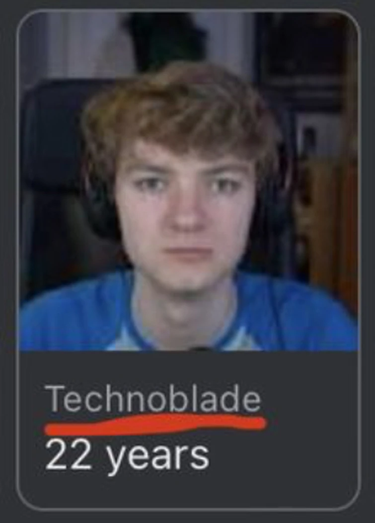 dug to find dsmp memes that are particularly rare to wiki | Fandom