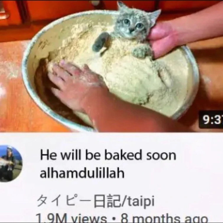 WWW (Main Character JJ stands) | Fandom