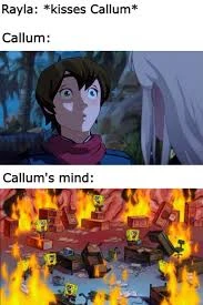 Rayllum meme! | Fandom