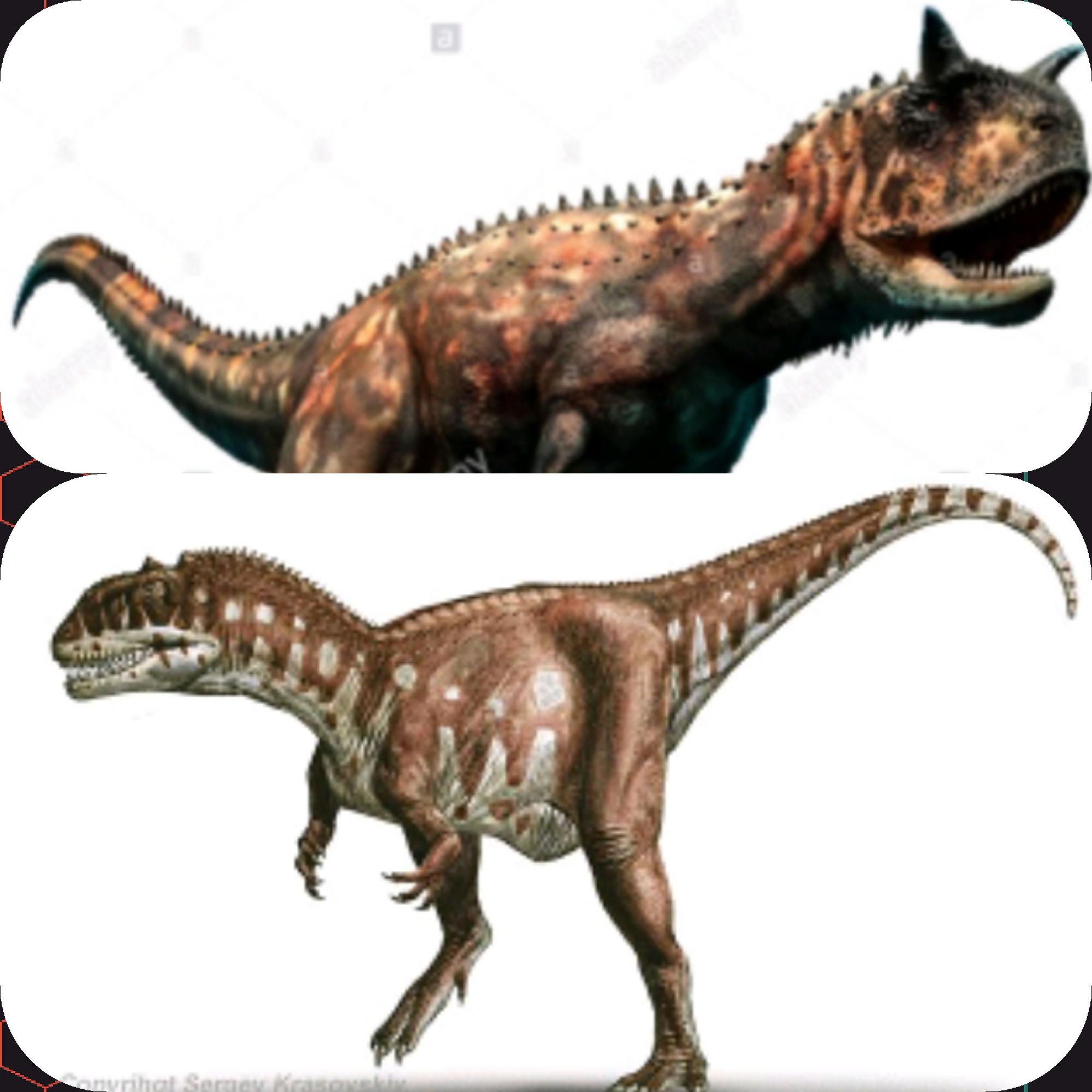 Carnotasaurus Vs Majungasaurus Fandom