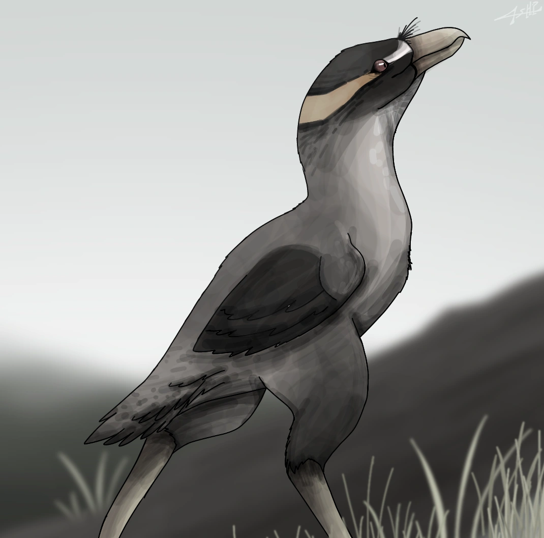 Bathornis drawing | Fandom
