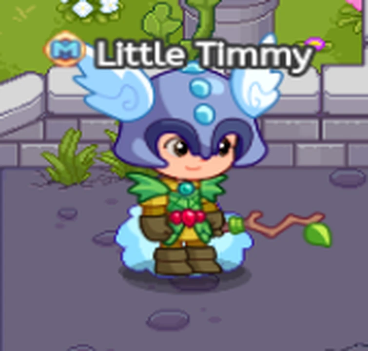 Little Timmy | Fandom