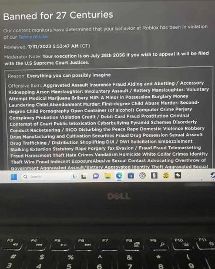 Roblox moderation bans are so humane | Fandom