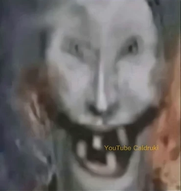 choose me pfp mates | Fandom