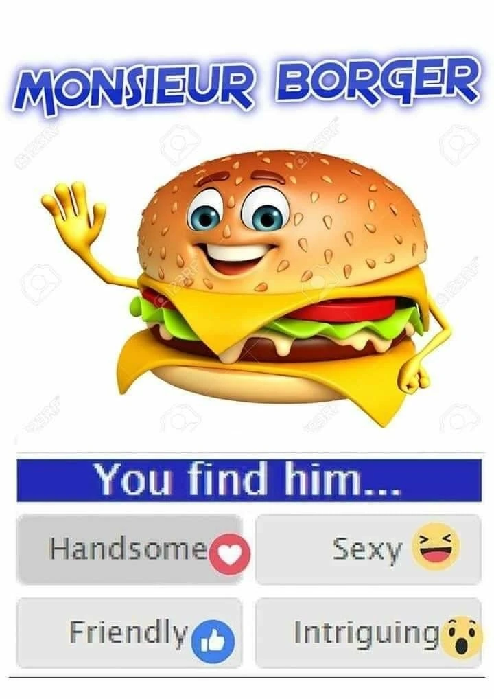 Monsieur Borger | Fandom