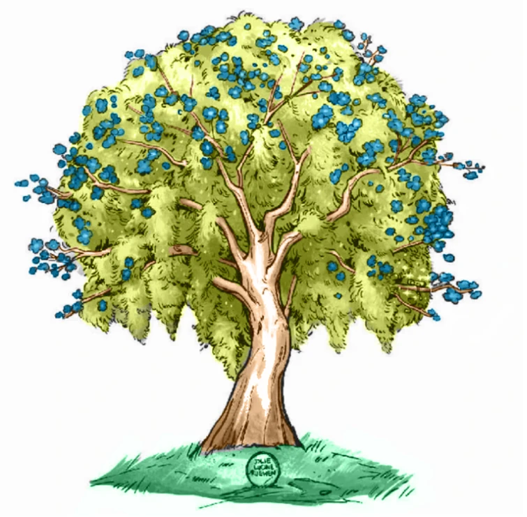 Discuss Everything About Keeper of the Lost Cities Wiki | Fandom