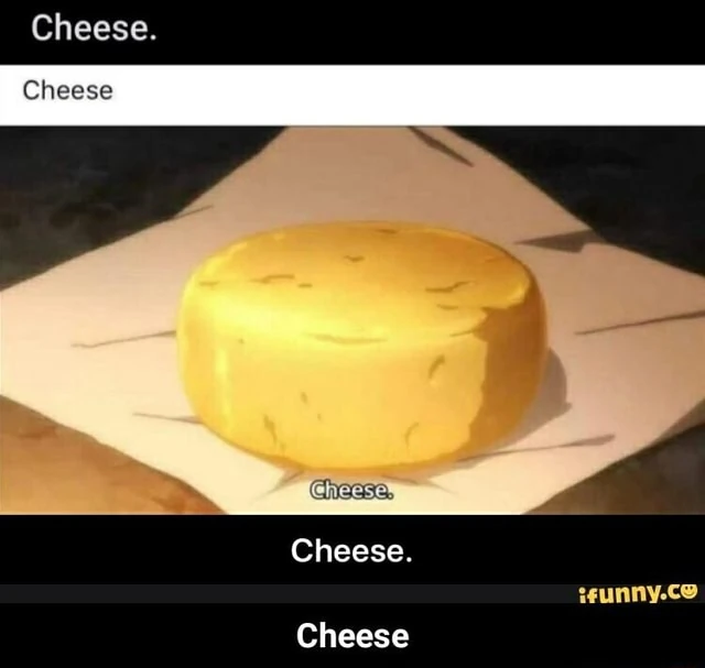 "Yo bro, you like cheese?" | Fandom