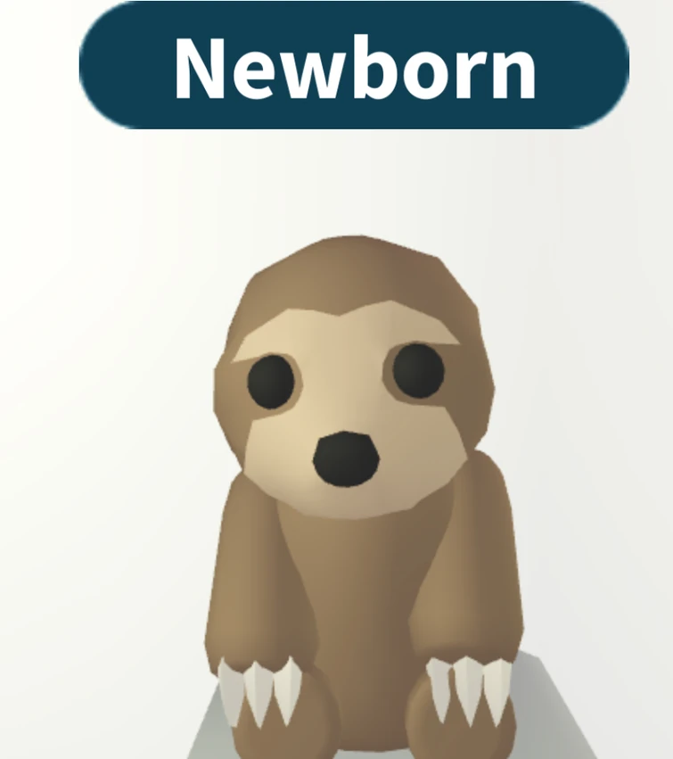 Pet Adoption Center!!! UwU | Fandom