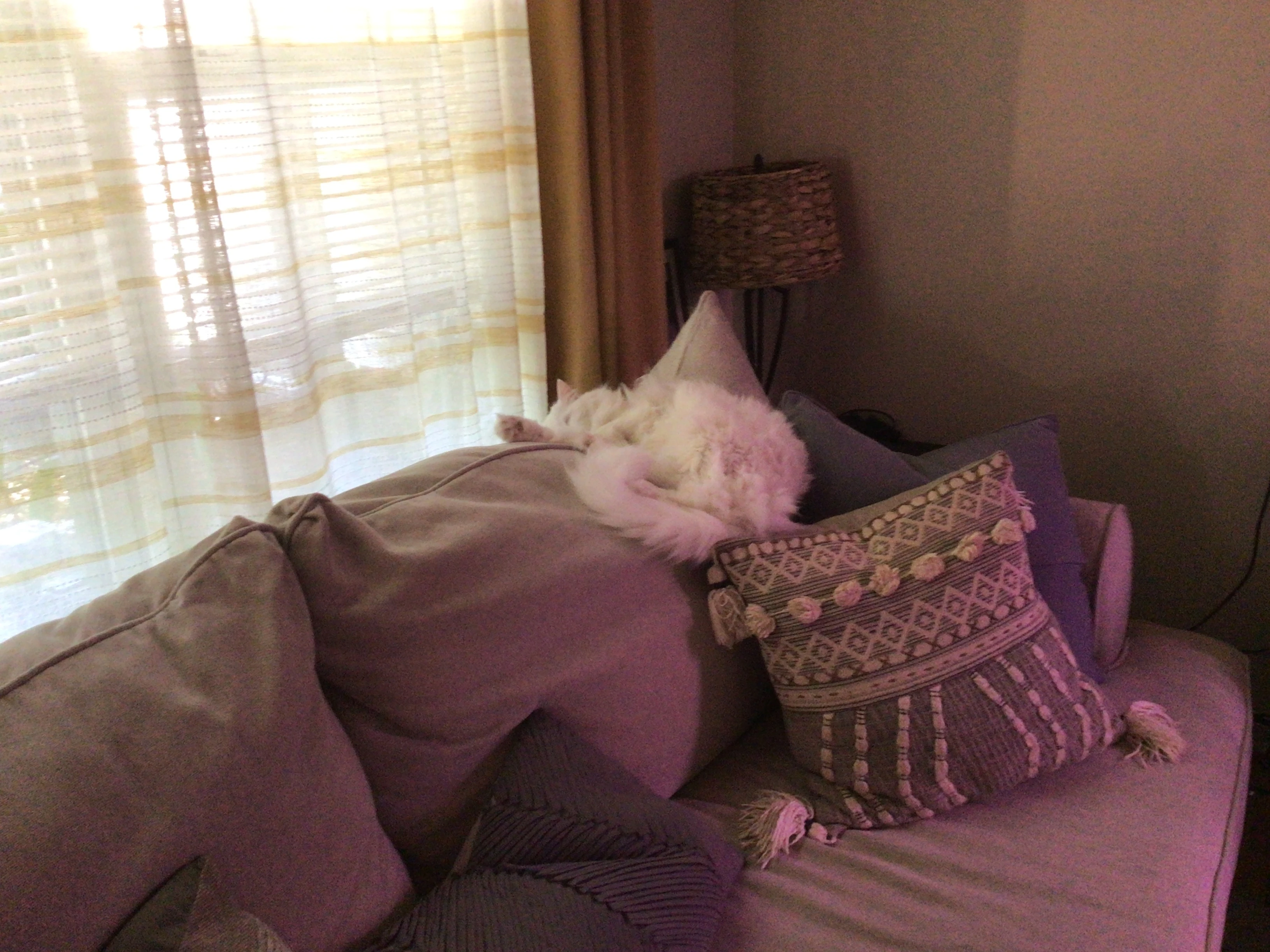 Pffff why she so eepy | Fandom